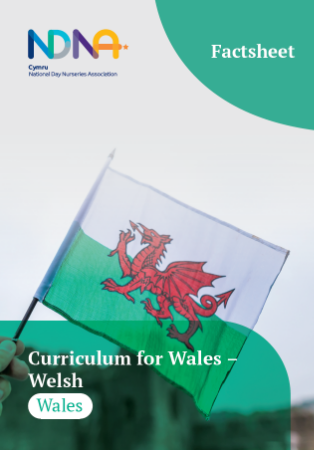 Curriculum for Wales - Wales factsheet (Welsh) - NDNA