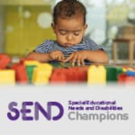 Championing SEND - NDNA